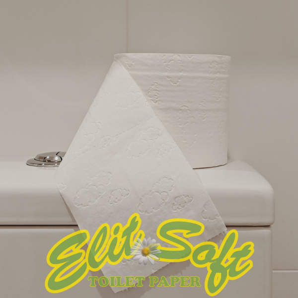 300 Sheets 1Ply 6×10 (Econo) – Elit Soft Tissue